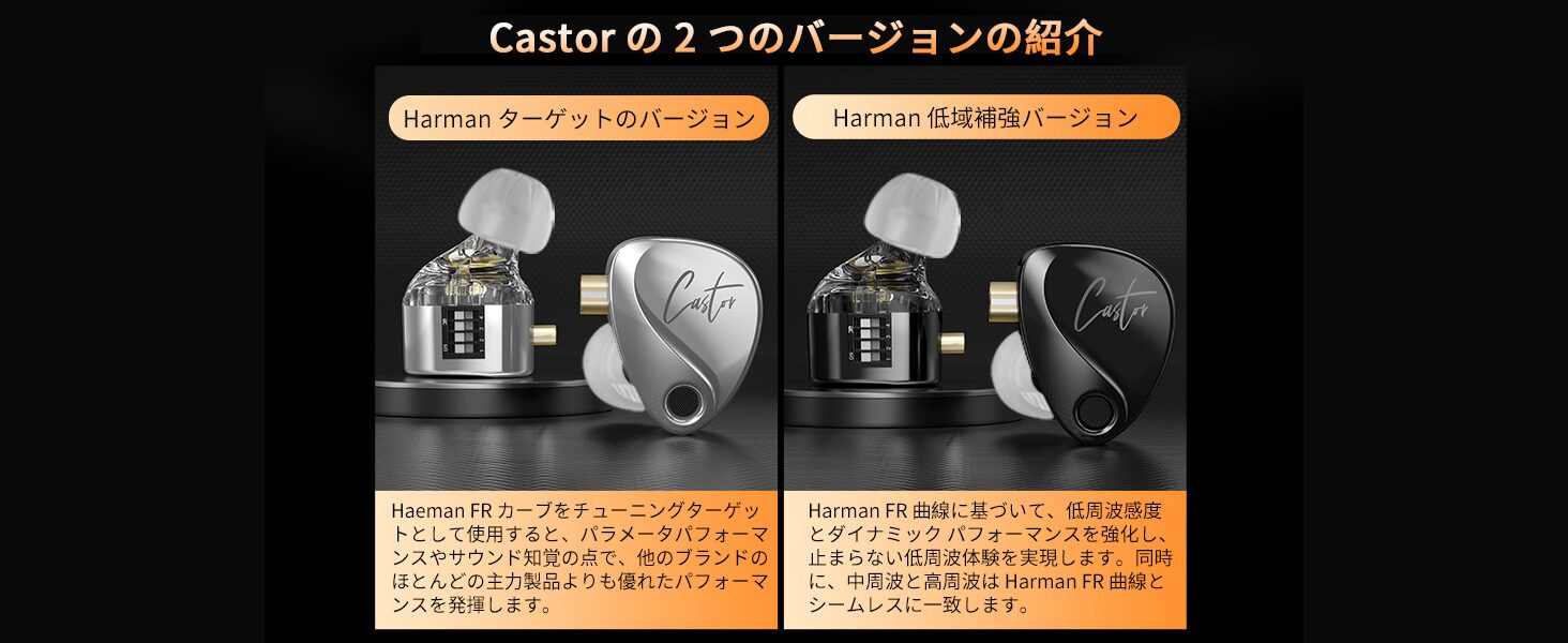【レビュー】スイッチで音質をカスタマイズできるイヤホン「KZ Castor」を使ってみた - IKOAN LIFE
